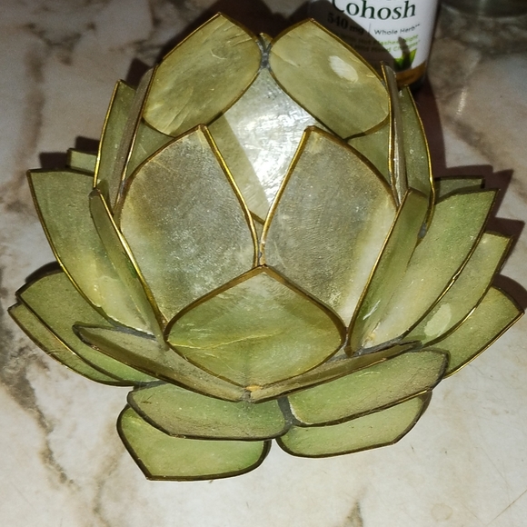 Source Unknown | Accents | Vintage Natural Capiz Shells Clustered To ...